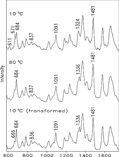 Figure 1 from Raman spectroscopy of protein and nucleic acid assemblies ...