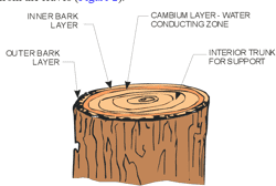 Figure 7 from RECOMMENDATIONS, PROCEDURES, AND GUIDELINES FOR THE ...