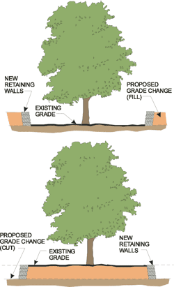 Figure 7 from RECOMMENDATIONS, PROCEDURES, AND GUIDELINES FOR THE ...