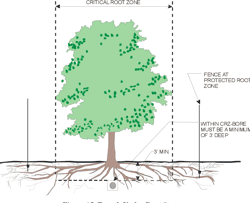 Figure 7 from RECOMMENDATIONS, PROCEDURES, AND GUIDELINES FOR THE ...