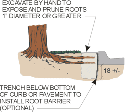 Figure 7 from RECOMMENDATIONS, PROCEDURES, AND GUIDELINES FOR THE ...
