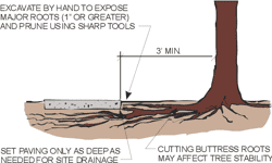 Figure 7 from RECOMMENDATIONS, PROCEDURES, AND GUIDELINES FOR THE ...