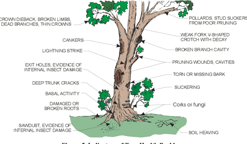 Figure 7 from RECOMMENDATIONS, PROCEDURES, AND GUIDELINES FOR THE ...