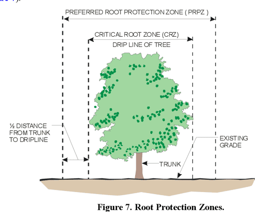 Figure 7 from RECOMMENDATIONS, PROCEDURES, AND GUIDELINES FOR THE ...