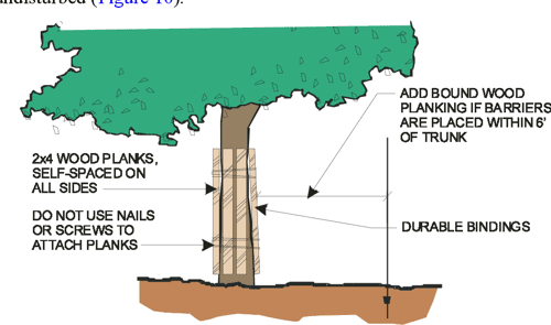 Figure 7 from RECOMMENDATIONS, PROCEDURES, AND GUIDELINES FOR THE ...