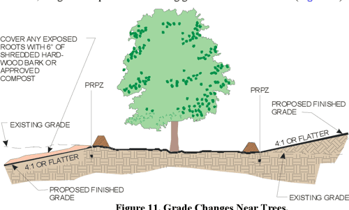 Figure 7 from RECOMMENDATIONS, PROCEDURES, AND GUIDELINES FOR THE ...