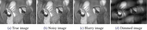 Figure 1 from Block-proximal methods with spatially adapted acceleration | Semantic Scholar