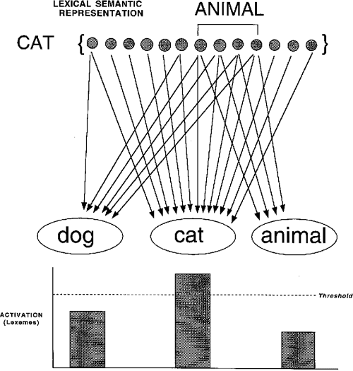 Figure 2 From How Many Levels Of Processing Are There In Lexical Access figure-2-from-how-many-levels-of-processing-are-there-in-lexical-access