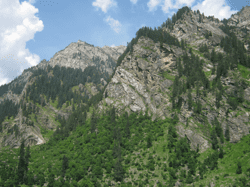 Figure 2 from New Distribution Information on Woolly Flying Squirrel ...