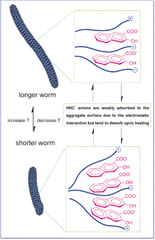 Figure 19 from Smart wormlike micelles. | Semantic Scholar