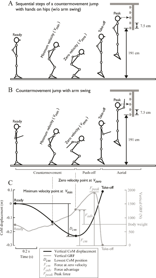 Figure 1 from Countermovement Jump Strategy Changes with Arm Swing to ...