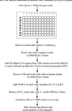 Figure 1 from Development of a Direct Trypan Blue Exclusion Method to ...