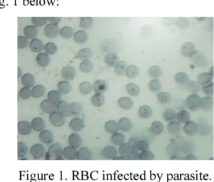 Plasmodium Parasite Detection on Thin Blood Smear Image using Double ...