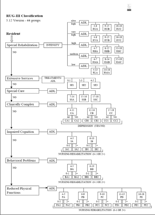 Figure 1 from Using the RUG—III classification system for understanding ...