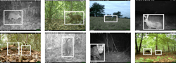 Towards real-time object detection on edge with deep neural networks ...