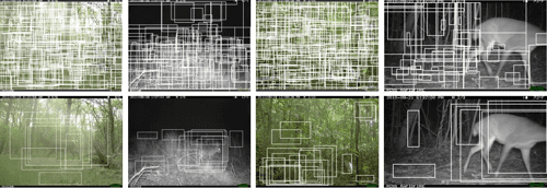 Towards real-time object detection on edge with deep neural networks ...