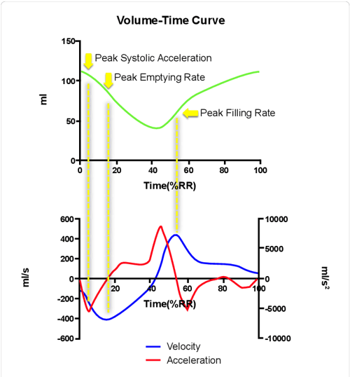 [PDF] Validation of Real-Time 3d Echocardiography Left Ventricular ...