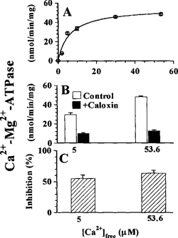 Figure 1 from MECHANISM OF ACTION OF CALOXIN MECHANISM OF ACTION OF ...
