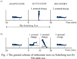 Figure 1 from Identification of Regulatory Mechanism of Orthostatic ...