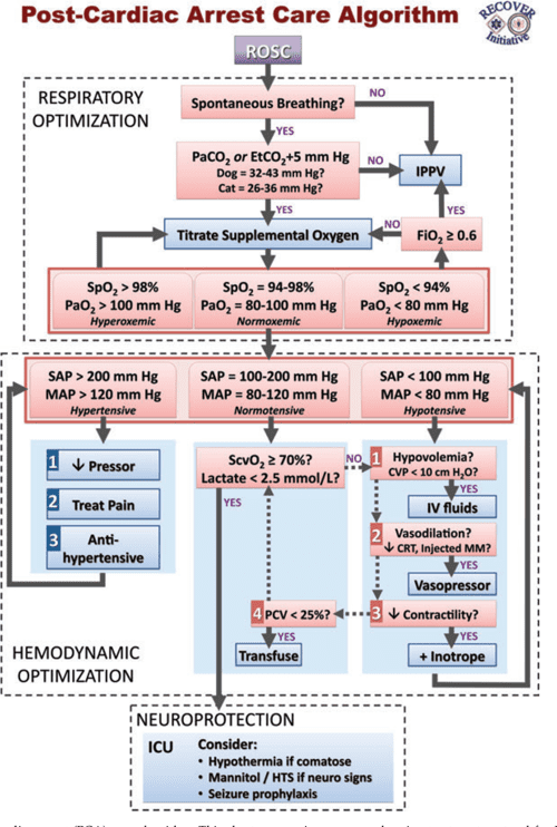 [PDF] RECOVER evidence and knowledge gap analysis on veterinary CPR. Part 7: Clinical guidelines ...