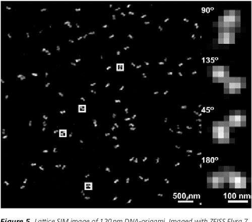 Figure 5 from Introducing Lattice SIM for ZEISS Elyra 7 Structured ...