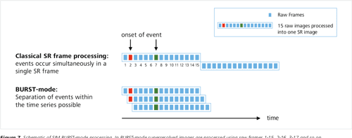 Figure 5 from Introducing Lattice SIM for ZEISS Elyra 7 Structured ...