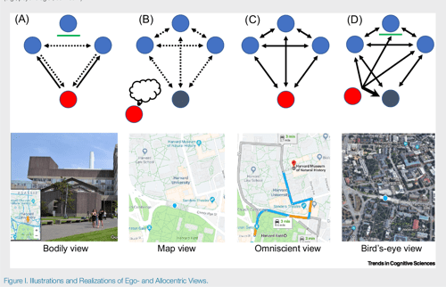 Figure 2 from Self-Agency and Self-Ownership in Cognitive Mapping | Semantic Scholar