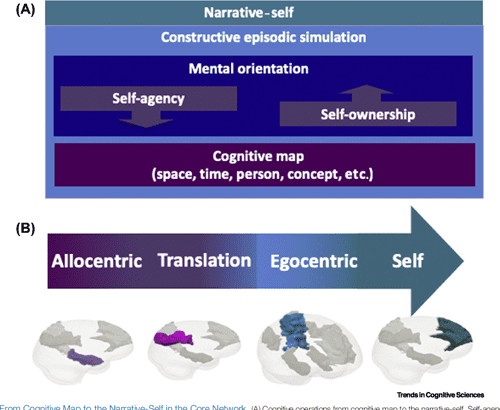 Figure 2 from Self-Agency and Self-Ownership in Cognitive Mapping ...