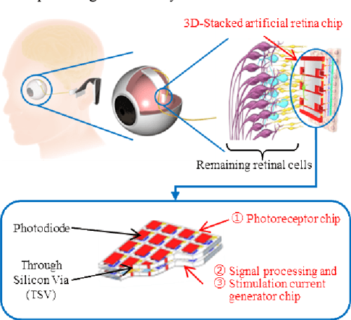 Implementation of Light and Dark Adaptation Function for High QOL 3D ...