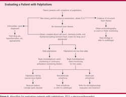 [PDF] Diagnostic approach to palpitations. | Semantic Scholar