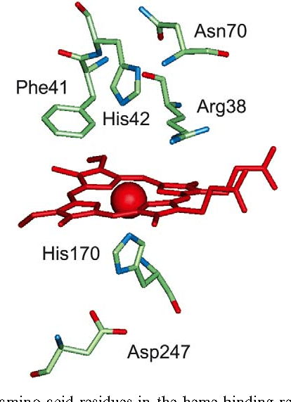 Horseradish peroxidase: a modern view of a classic enzyme. | Semantic ...