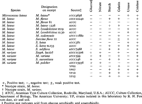 Table I from Differentiation of Micrococcus luteus and Micrococcus ...
